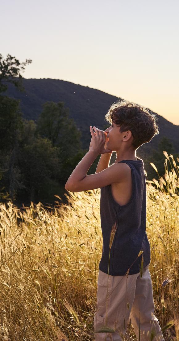 Vikos Natural Mineral Water - From the Spring Straight to You